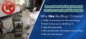 Bedbug Chasers of Philadelphia How to Get Rid of Bed Bugs Philadelphia ...